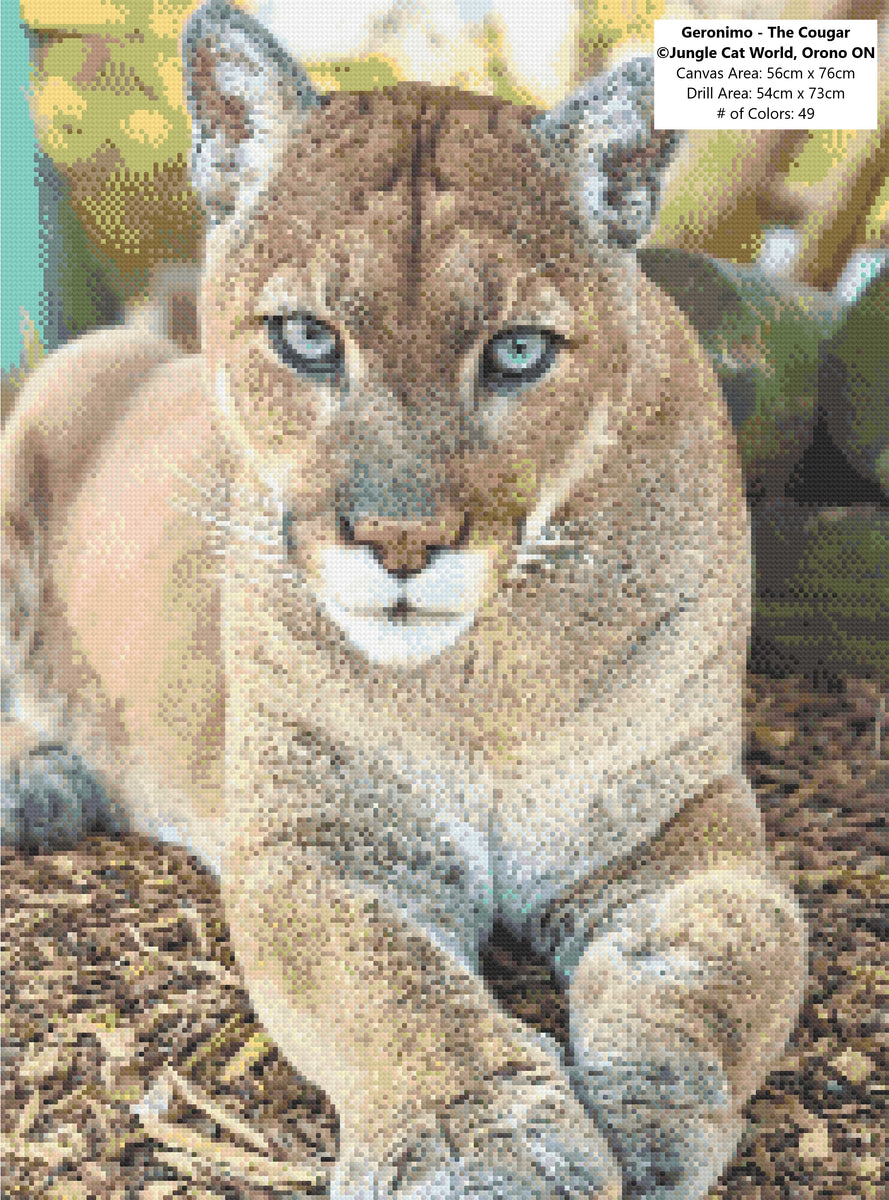 Geronimo - The Cougar – Craft Pack Canada